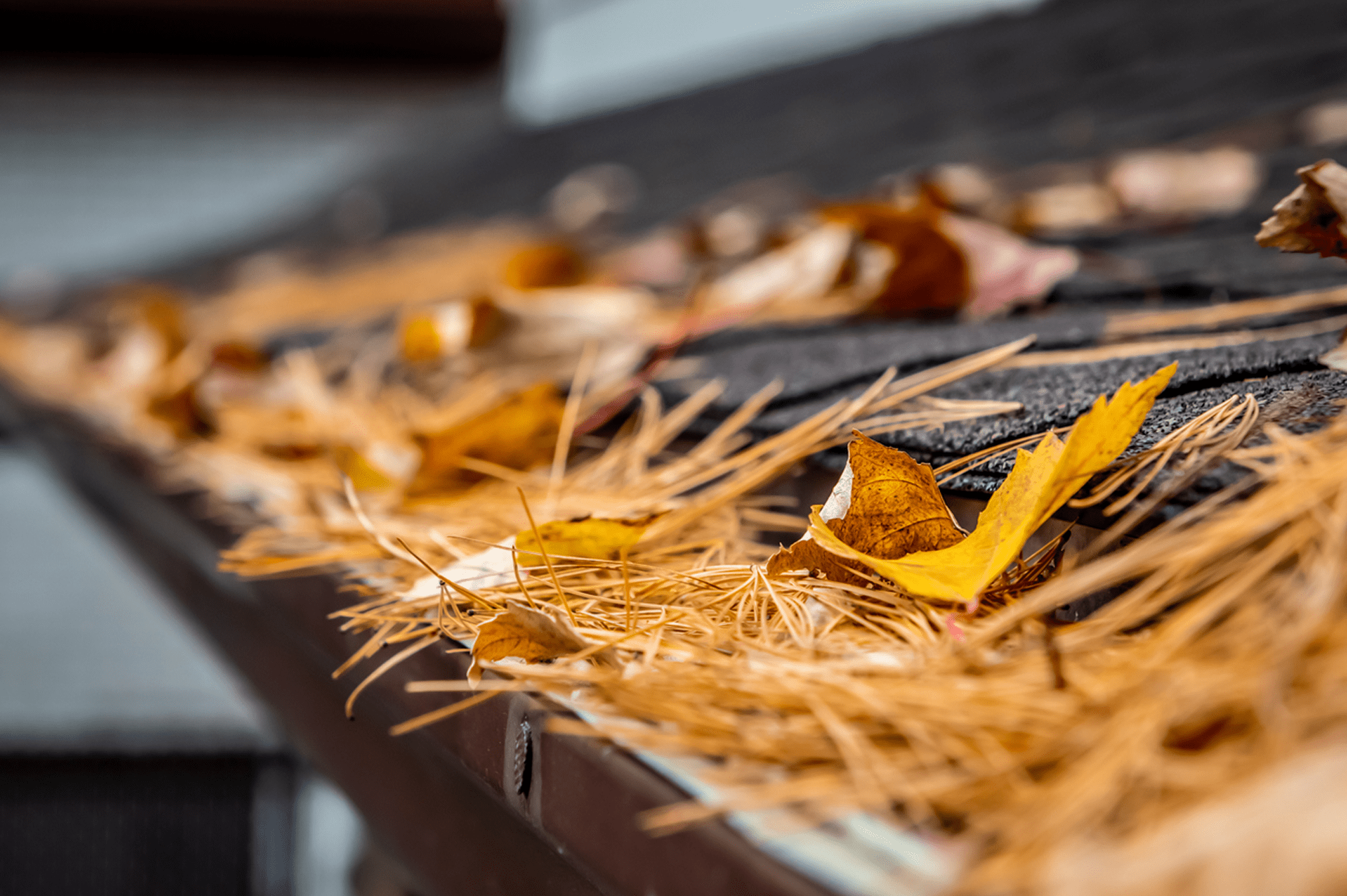 How to Protect Your Minnesota Lakes Country Roof from Fall Damage ...